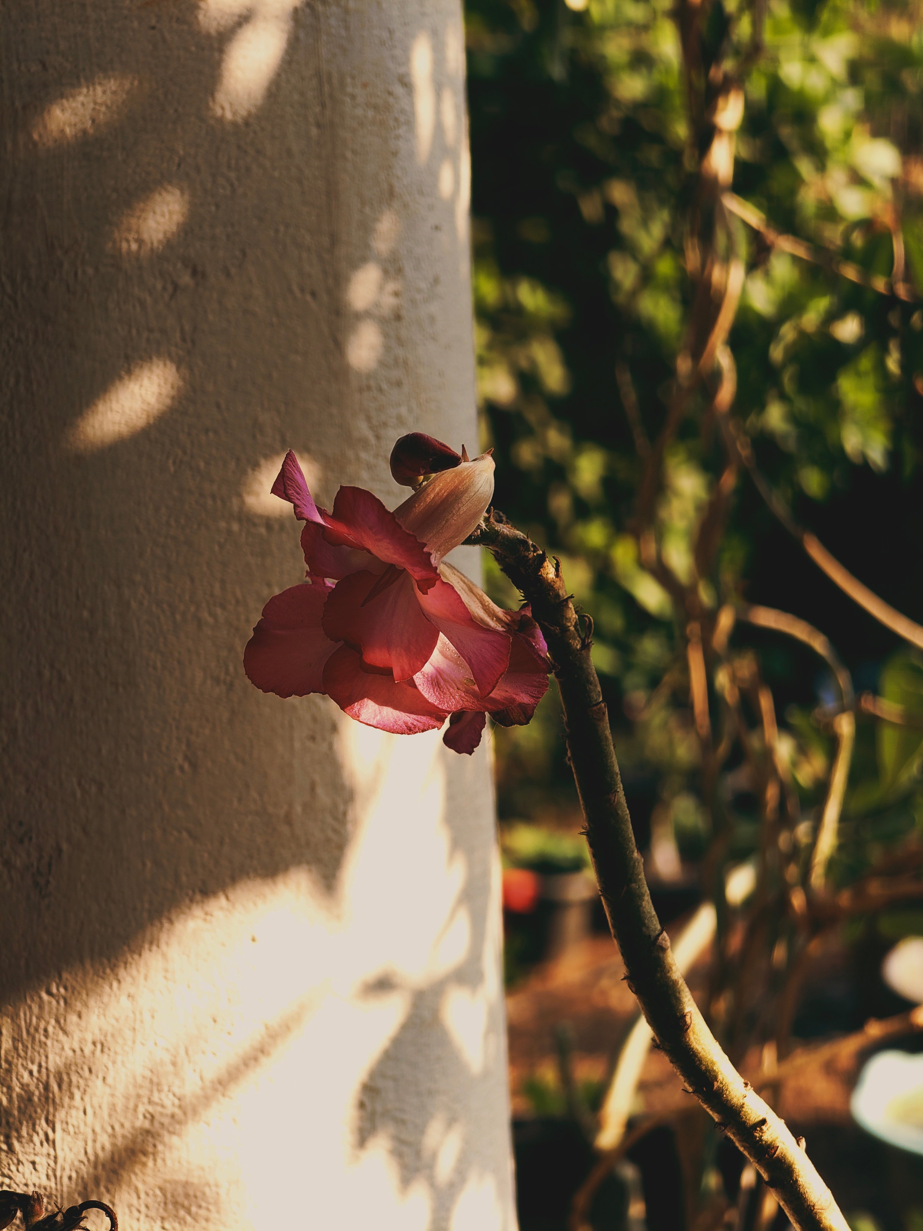 Camera Presets - Nothing Playground