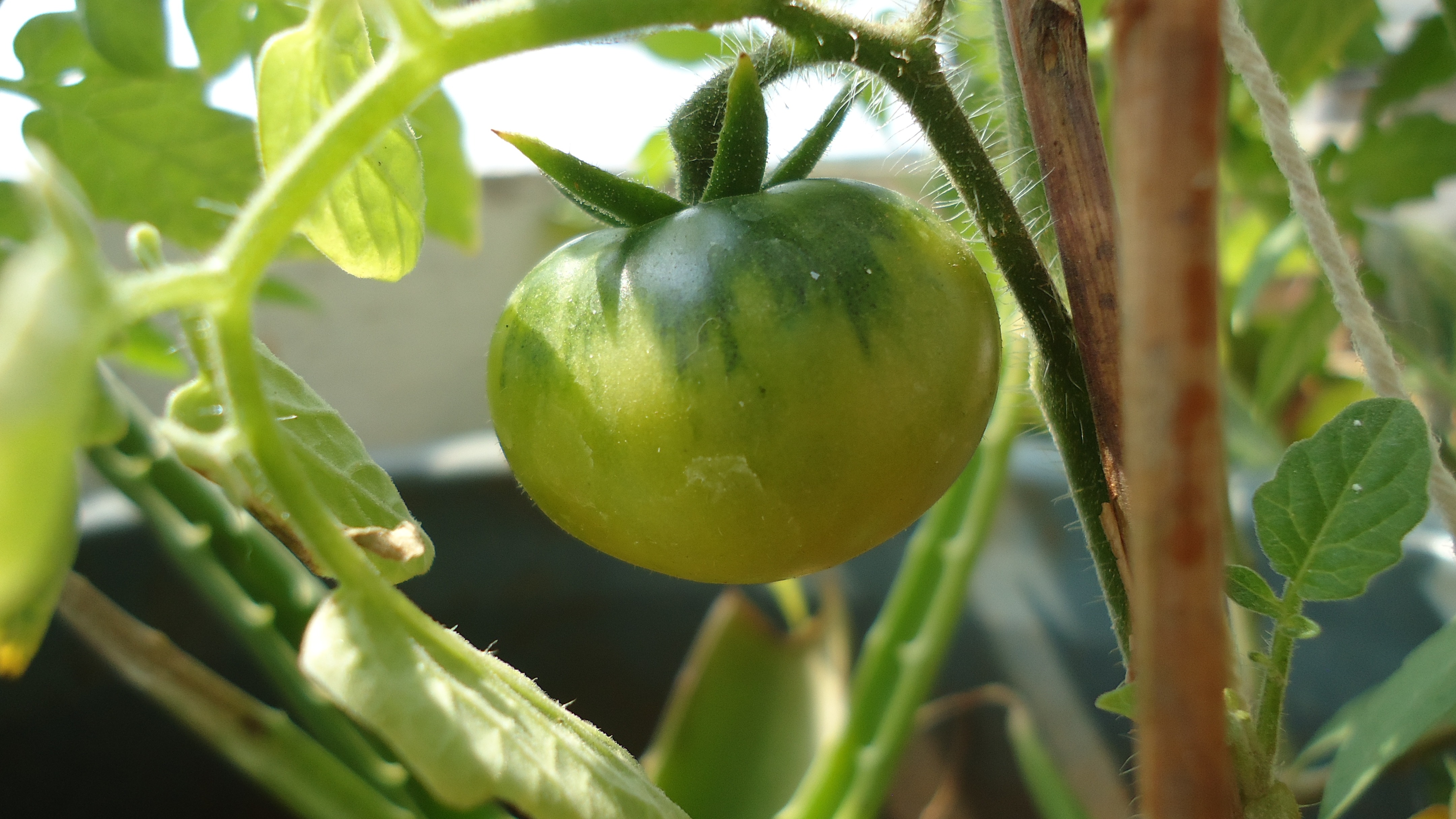 Camera Presets - Nothing Playground