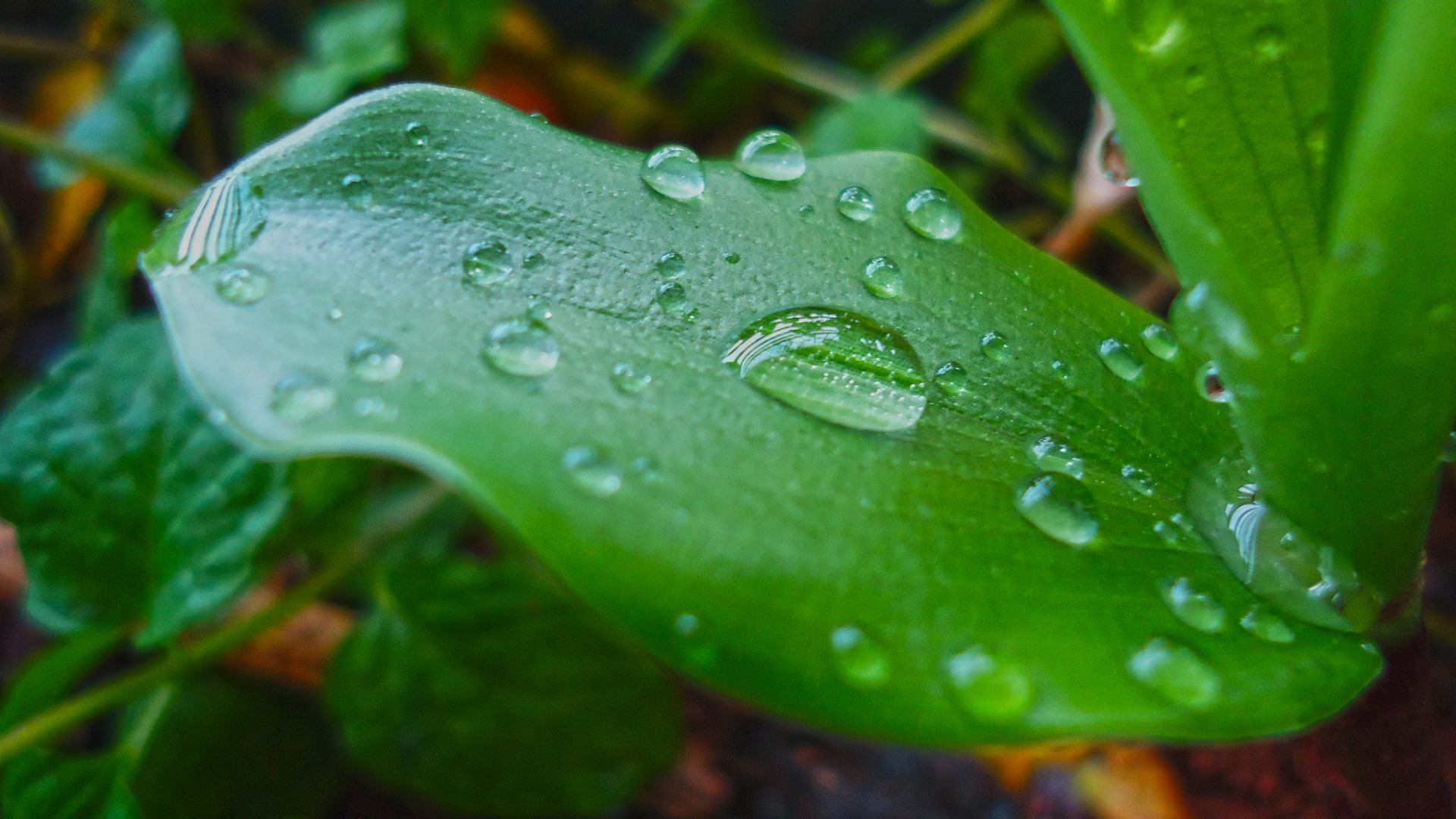 Camera Presets - Nothing Playground